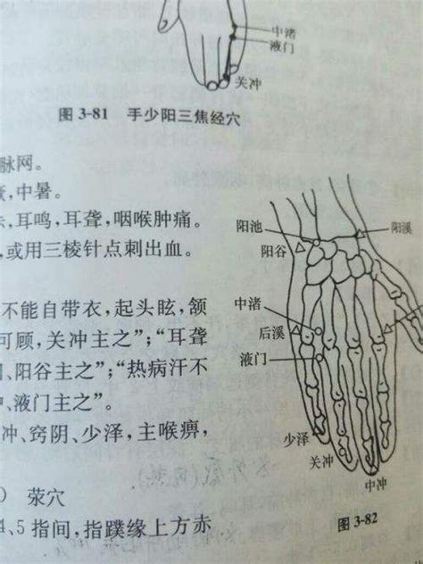 液门的准确位置和功效 图库 五毛网