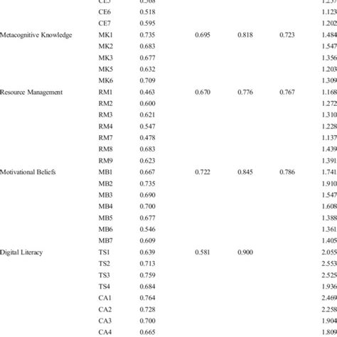Indicator Reliability Analysis Loading Items Average Variance