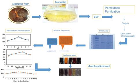 Physicochemical Parameters Optimization And Peroxidase Characterization From Aspergillus Niger
