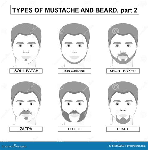Men Faces A Collection Of Mustaches And Beards Character Variations Stock Vector