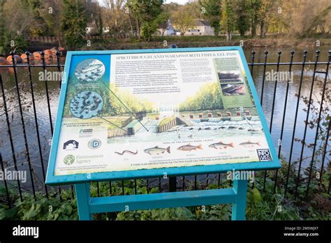 Sprotbrough And Warmsworth Fish And Eel Pass On The River Don Opposite
