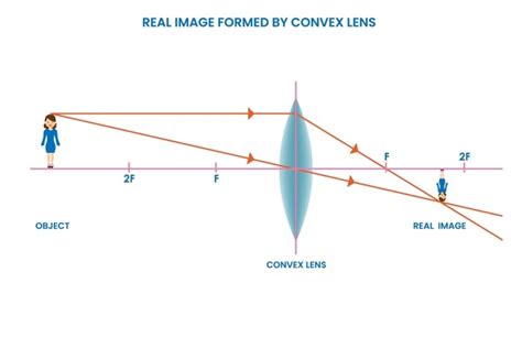 Convex Lens Forming Real Image Royalty Free Photos And Stock Images Shutterstock