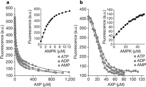 Measurement Of Equilibrium Dissociation Constants For The Binding Of