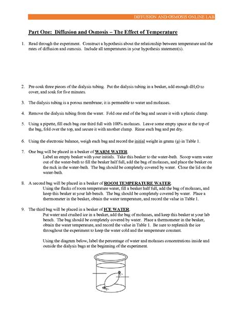 SOLUTION Diffusion And Osmosis Online Lab Report Studypool
