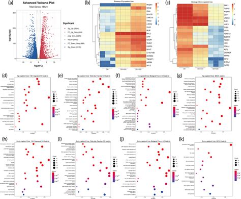 Differential Gene Expression Profiles Of HiPSCCPCs During