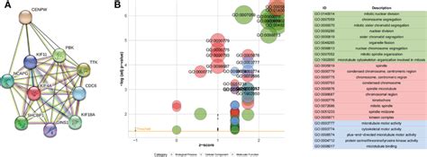 A Ten Hub Genes Identified By The Mcode Plug In B Go Functional