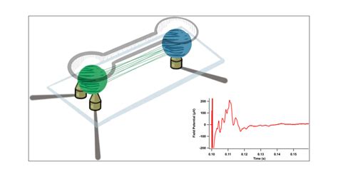Fully Integrated 3d Microelectrode Arrays With Polydopamine Mediated Silicon Dioxide Insulation