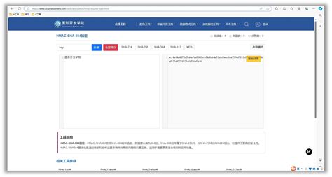 “hmac Sha 384加密”详细介绍 在线工具 图形开发学院