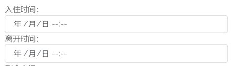 type “datetime local“ 介绍与使用 csdn博客