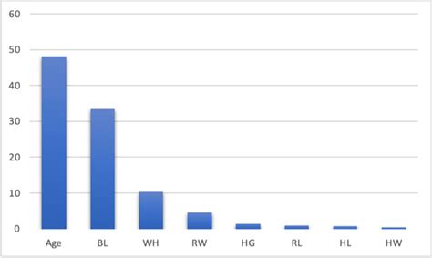 Relative Importance Graph For Xgboost Algorithm Download Scientific