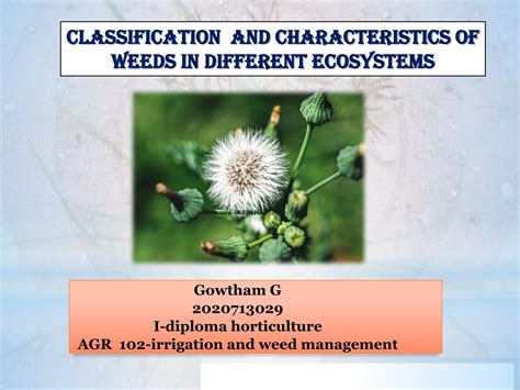 Classification Of Weeds And Characteristics Of Different Agro Systems PDF