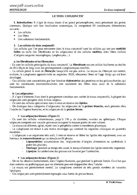 F Cours 2 Le Tissu Conjonctif Histologie Le Tissu Conjonctif 1 Dr