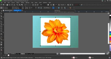 Manual De Corel Draw X Pdf Sanydesk