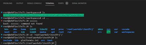 Wrong Slash Gets Used When Creating New Projects In Devcontainer