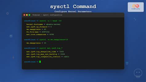 Udevadm Command Linux Complete Guide To Device Management And Udev