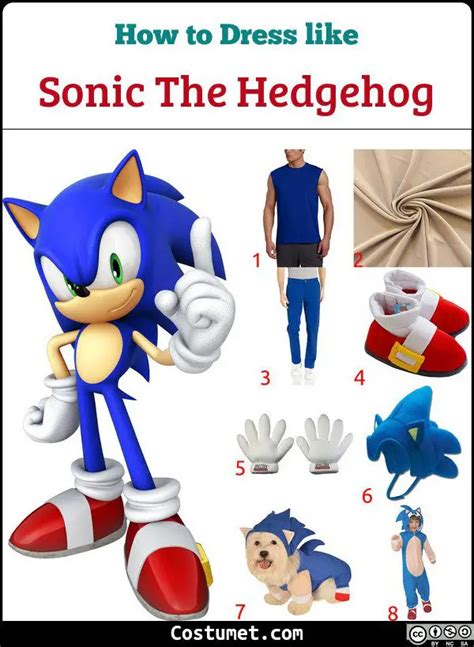 Sonic The Hedgehog Costume For Cosplay And Halloween 2020
