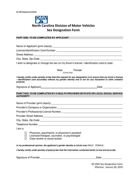 Form Dl 300 Fill Out Sign Online And Download Printable Pdf North