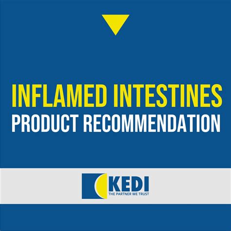 Inflamed Intestines Kedi Healthcare Shop