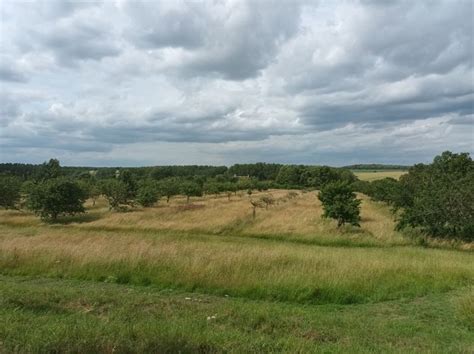 Emma Ormond Bones On Linkedin Fabulous Team Stories Exciting