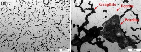 Graphite Morphology And Microstructure Of Cgi A Vermicular Graphite