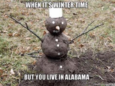 See The Top Ten Memes From The January 29 Alabama Snowless Event Geek