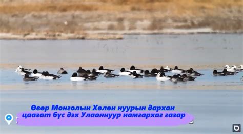 Дархан цаазат бүс дэх Улааннуур Webs Mn