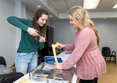 The Difference Between Practicum Experiences Internships And Fellowships