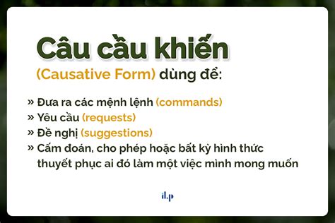 Câu Cầu Khiến Tiếng Anh Là Gì Hướng Dẫn Chi Tiết Và Bài Tập Thực Hành