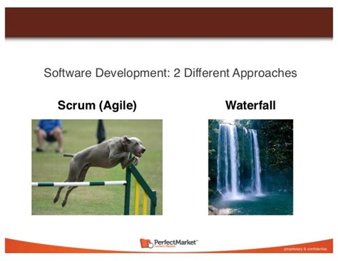 Waterfall Scrum And Perfect Markets Approach