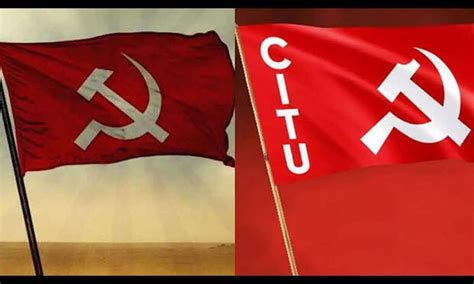 Citu Flag Logo