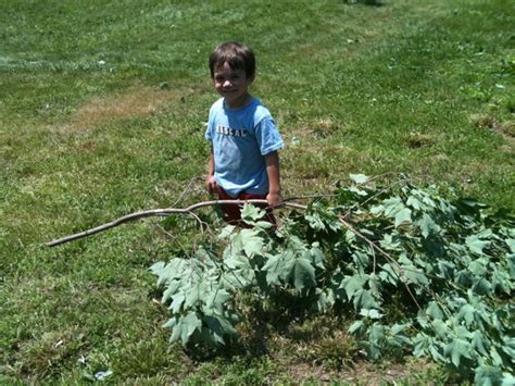 DIY Ing Our Basic Ranch House Into The Cottage Of Our Dreams Part One Beneath My Heart