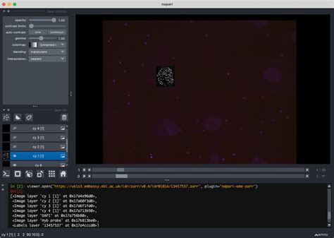 writing tile wise ome zarr with pyramid size image analysis image