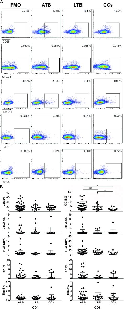 The Expression Profiles Of Cd38 Ctla 4 Hla Dr Pd1 And Tim 3 On Download Scientific