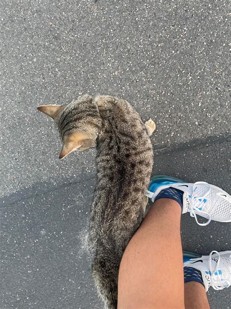 Since There Is So Much Sex Shit Here The Last Couple Of Days Here A