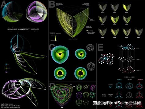 分享17个网络（network）数据可视化工具 知乎