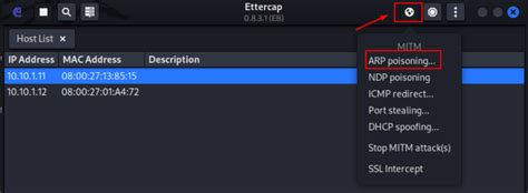 How To Perform DNS Cache Poisoning Spoofing GoLinuxCloud