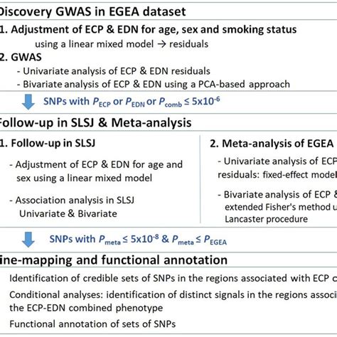 Two Stage Strategy Of Analysis Download Scientific Diagram