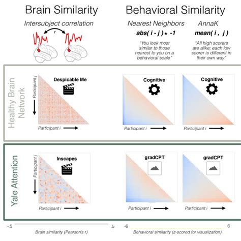 Brain And Behavioral Similarity Matrices Here We Show Similarity