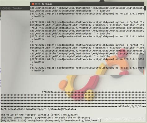 软件安全实验——lab4 Format String Vulnerability Lab（格式化字符串漏洞实验最新版——2020年1月12日