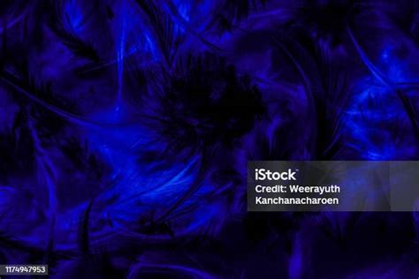 아름다운 클로즈업 텍스처 추상 화려한 어두운 검은 색과 파란색 깃털과 어둠 패턴 깃털 벽지 및 배경 및 예술 0명에 대한 스톡 사진 및 기타 이미지 Istock