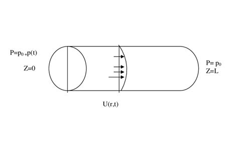 Transient Flow In A Pipe Driven By A Fluctuating Pressure Across The Download Scientific