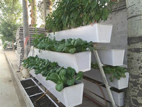 草莓A型栽培架立体种植槽华耀规格样式齐全 农机网