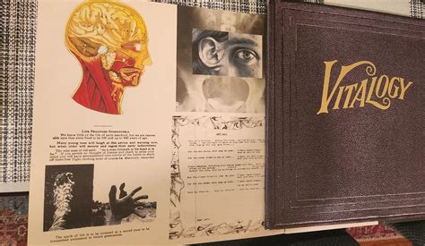 Pearl Jam Vitalogy Album Cover As The 30th Anniversary Of Vitalogy