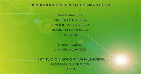 Reproducción Sexual En Los Mamiferos Pdf Document