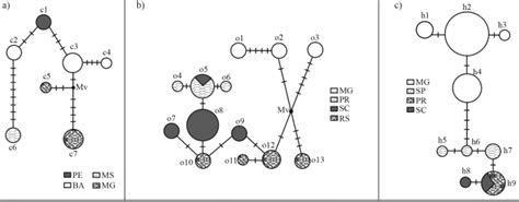 Median Joining Networks Based On Its Sequence Types Each Circle