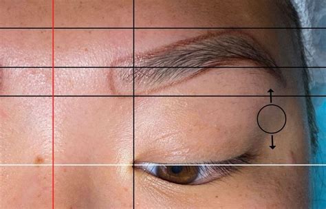 Phibrows Microblading