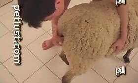 घड क सकस और सटलयन परन पश अशलल वडय