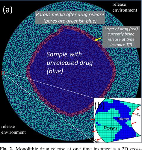 Figure 2 From Characterization Of Controlled Release Microspheres Using Fib Sem And Image Based