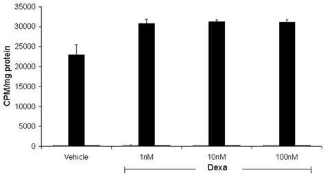 The Effect Of Dxm On Cppd Crystal Formation By Chondrocytes Download