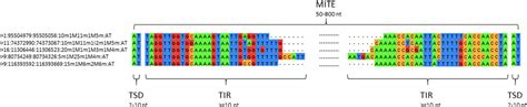 Figure 1 From Generic Repeat Finder A High Sensitivity Tool For Genome